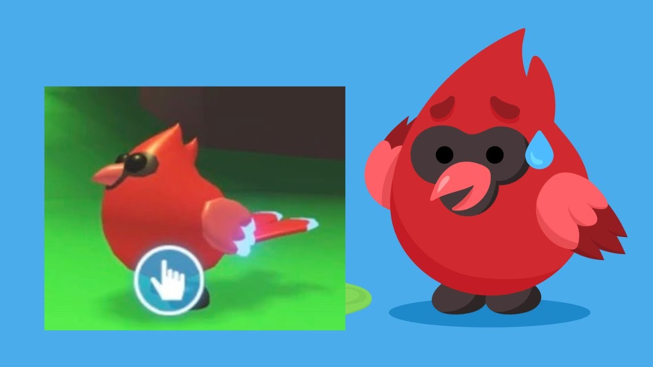 ADOPT me: Cardenal Rojo NEÓN - YouTube