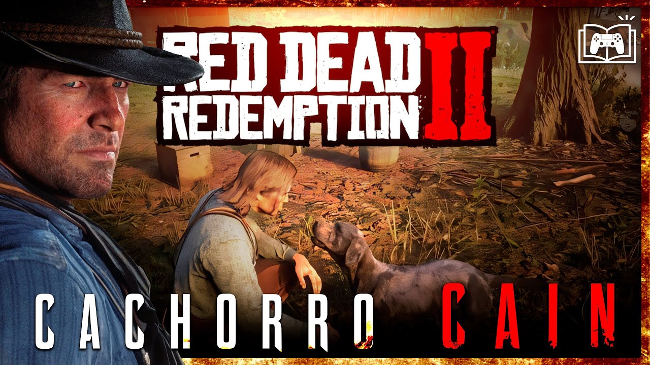 CACHORRO CAIN e a BÍBLIA - Red Dead Redemption 2 - YouTube