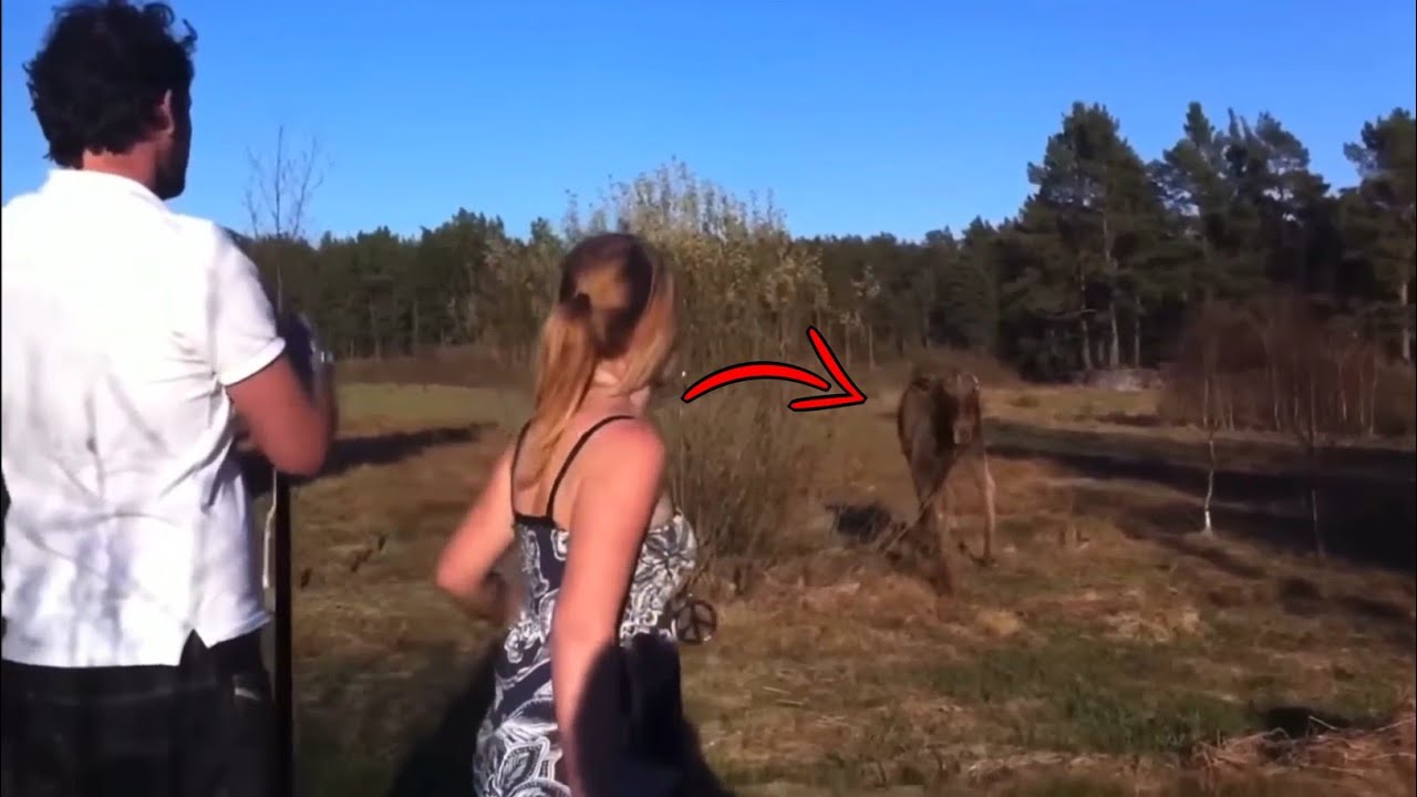 Man Protects Woman From Wild Animal (When Tough Men Save Lives #1 ...