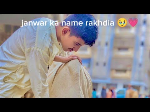 janwar ka name rakhdia🥹💗|sami ne janwar bhaga dia😭😡| - YouTube