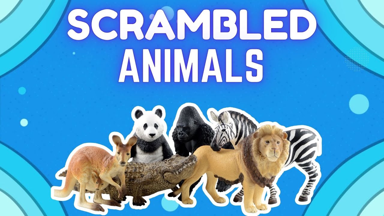 Unscramble the Word | ANIMALS (Part 1) - YouTube