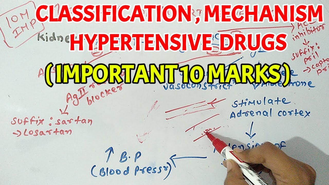 Classification of antihypertensive drugs || Mechanism of hypertensive ...