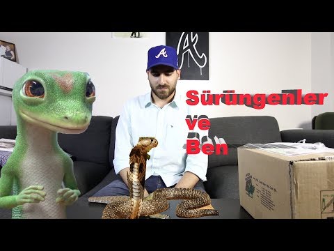 Evimdeki Sürüngen Dostlarım