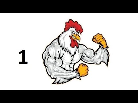 HARİKA HOROZ RESİMLERİ. SENİN FAVORİN HANGİSİ YORUMA YAZ