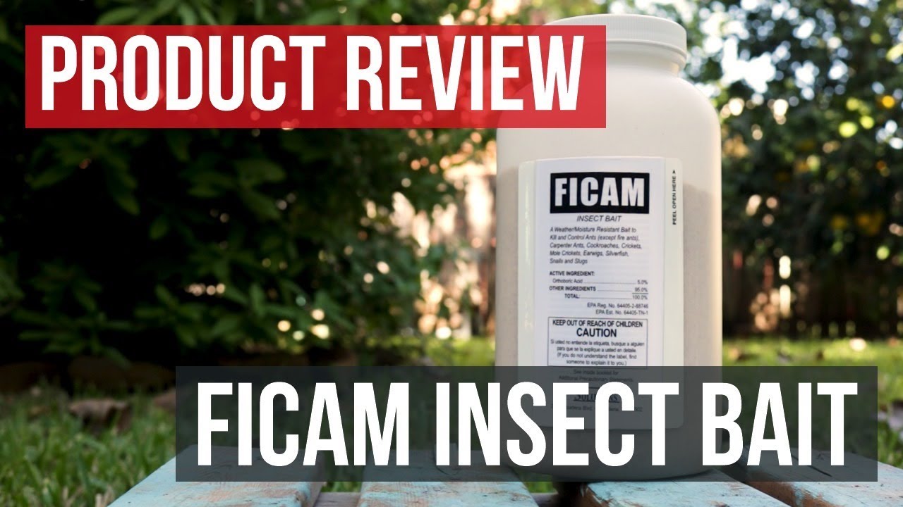 Ficam Insect Bait: Product Review - YouTube