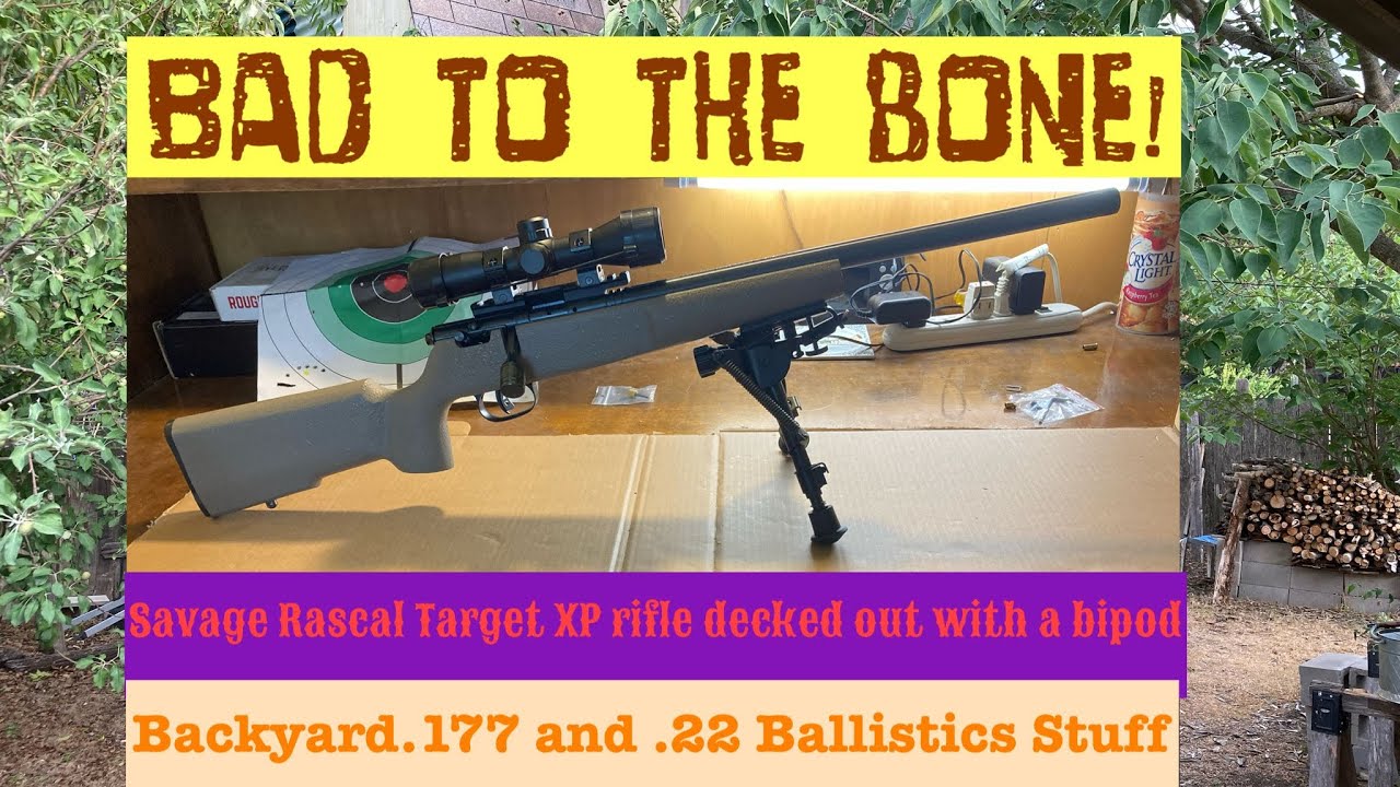 Kid’s Rifle on Steroids: Savage Rascal Target XP .22 rifle with scope ...