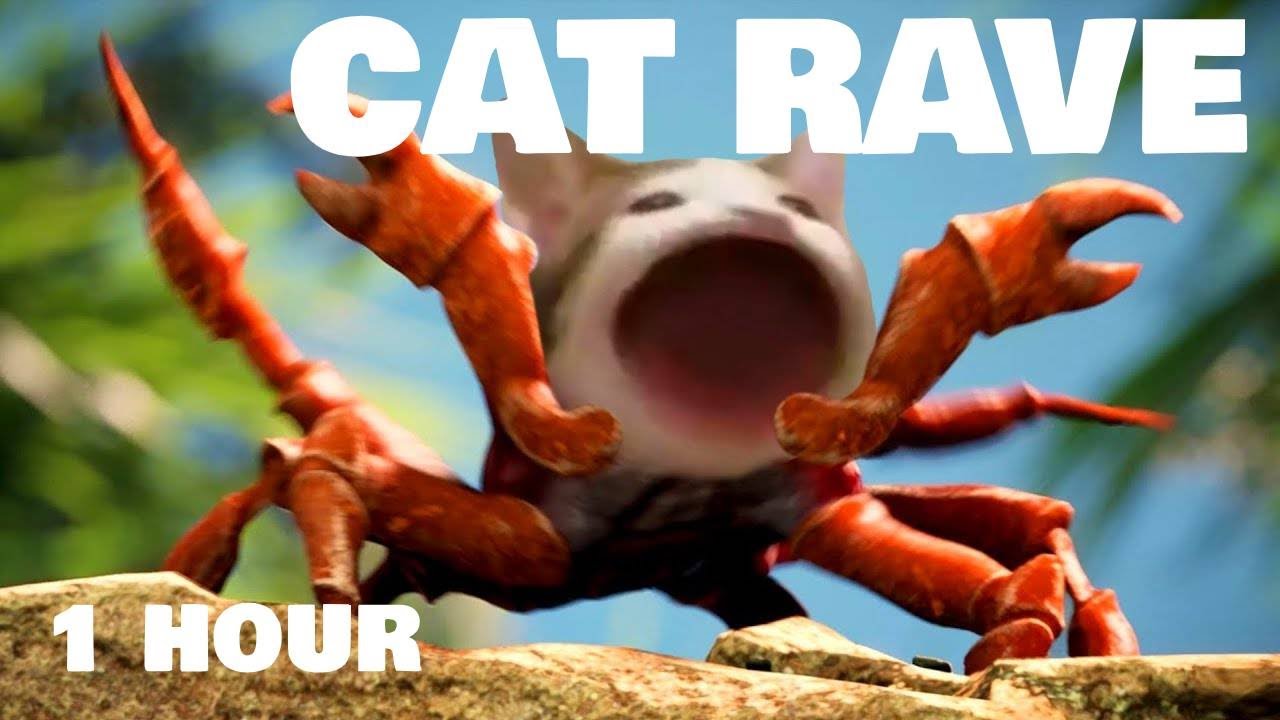 Cat Rave - 1 HOUR - YouTube