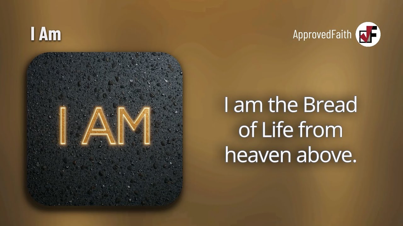I Am - OFFICIAL LYRIC VIDEO - YouTube