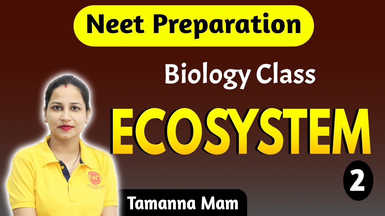 Ecosystem in one shot | Biology Class 12 | Class 12 Biology | NCERT ...