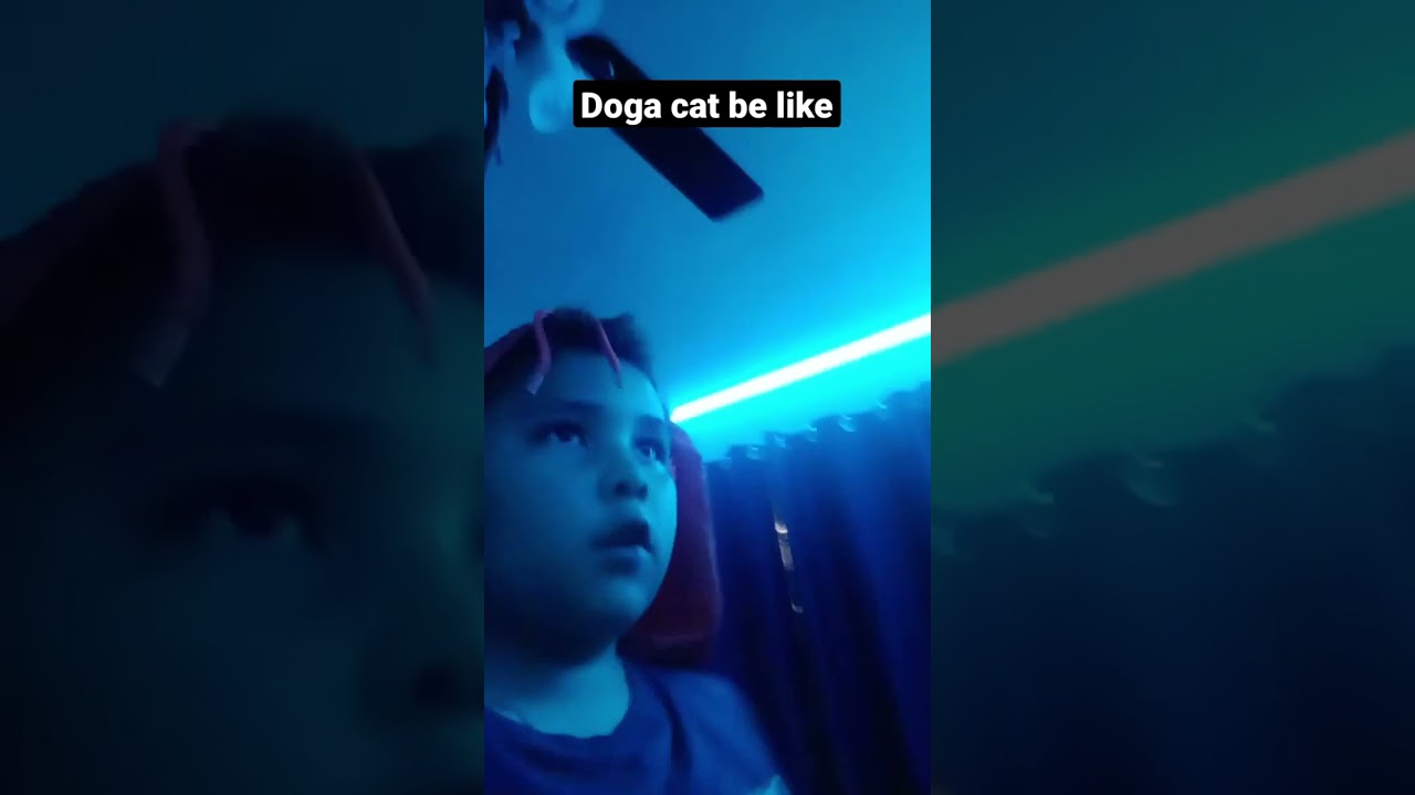 Doga cat be like - YouTube