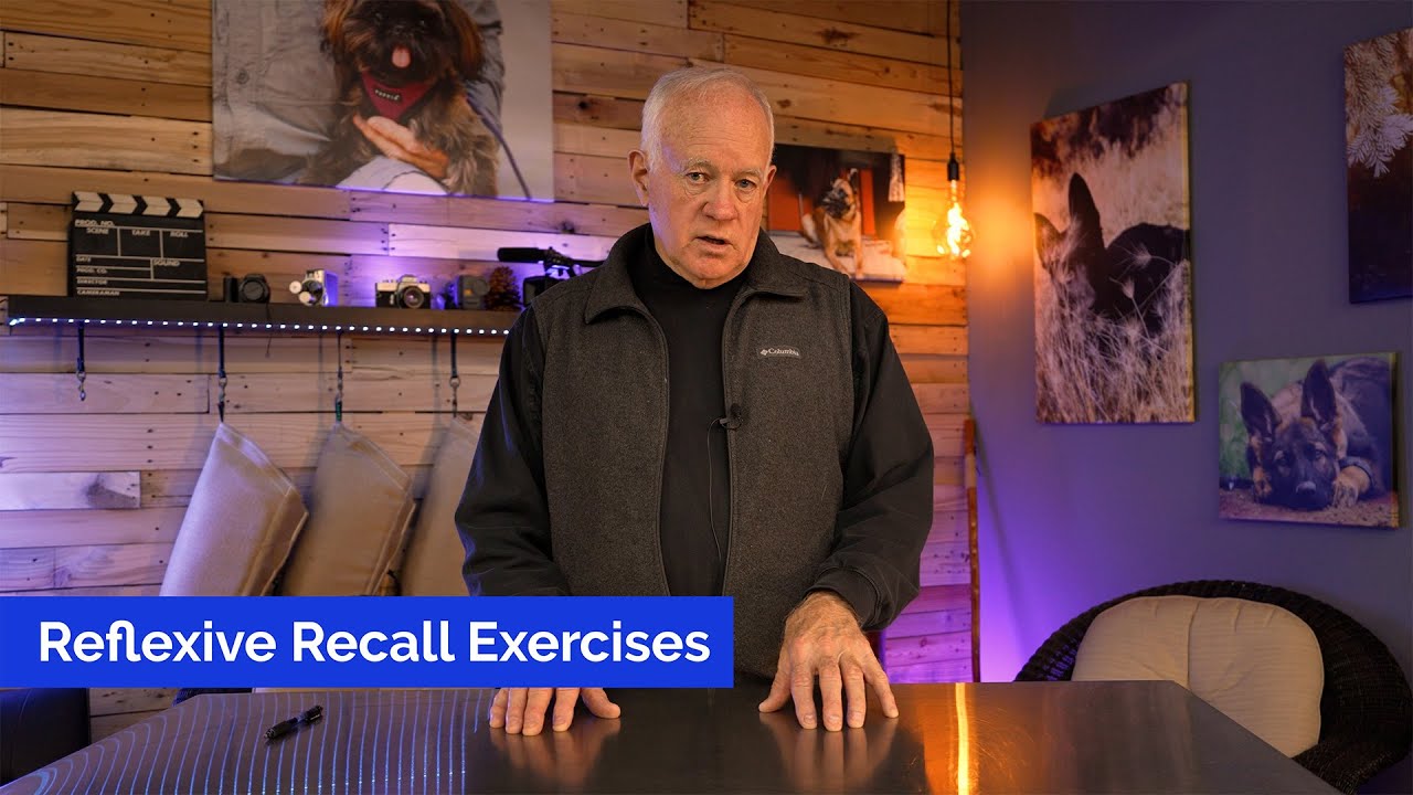 Reflexive Recall Exercises - YouTube