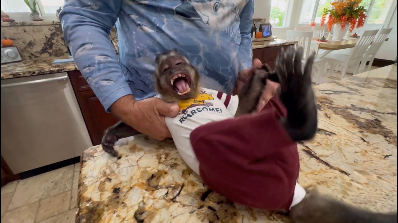 Monkey Russel BITES?!?…Storm Day…! - YouTube