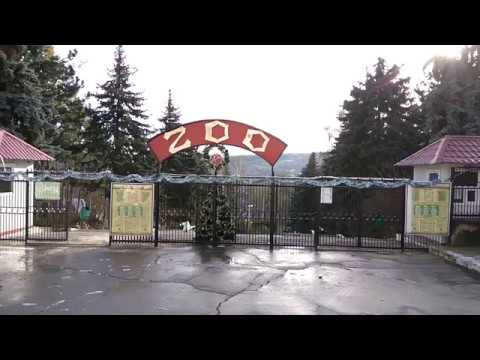 Chisinau ZOO - YouTube