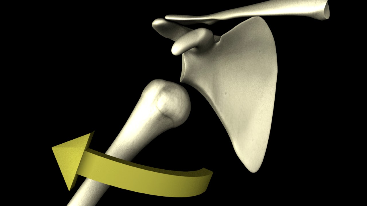 Shoulder Dislocation Reduction - Traction Method - YouTube