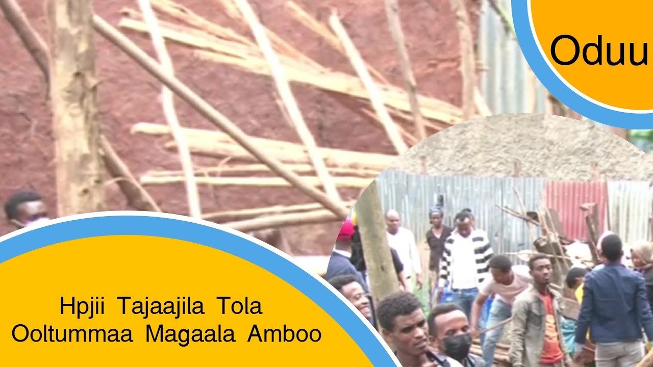Hpjii Tajaajila Tola Ooltummaa Magaala Amboo - YouTube