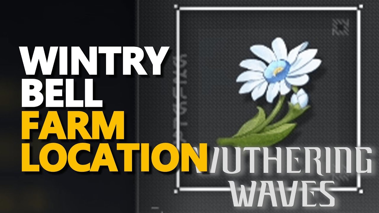 Wintry Bell Locations Wuthering Waves - YouTube