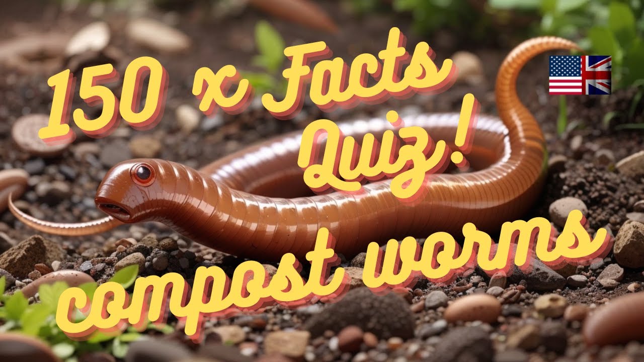 150 x Worm Facts #Facts, #Quizz - YouTube