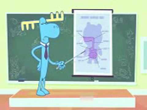 Happy Tree Friends - Something Fishy - YouTube