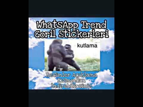 GORİL , GORİL STİCKER , GORİL WHATSAPP , GORİL RESİMLERİ , STİCKER , TREND