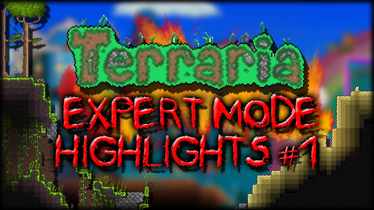 Terraria MP (Expert Mode) - Highlights #1! - YouTube