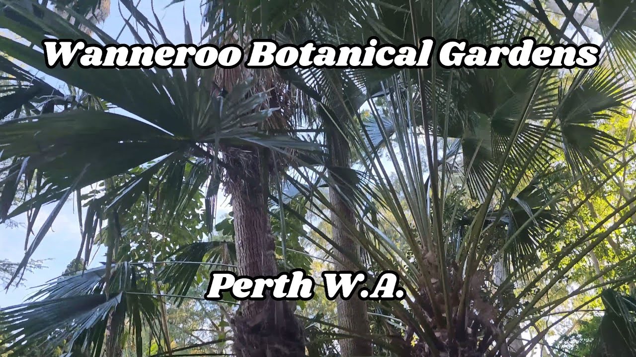 Wanneroo Botanic Gardens - Perth - YouTube