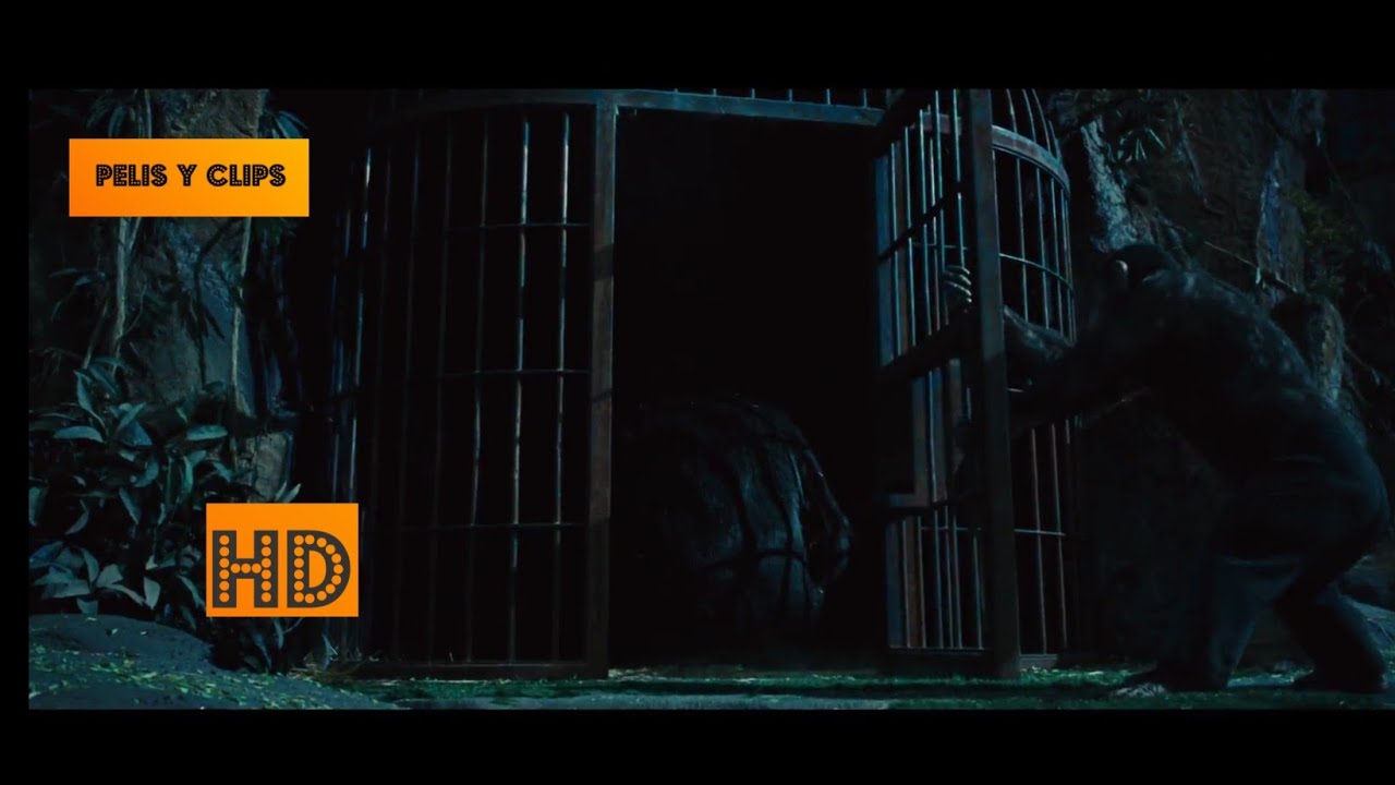 EL PLANETA DE LOS SIMIOS REVOLUCIÓN - cesar saca al simio más grande ...