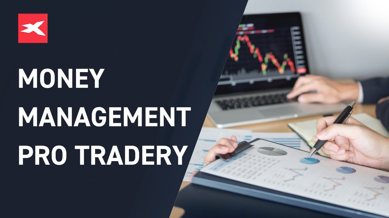 Trading pro začátečníky: Money management - YouTube