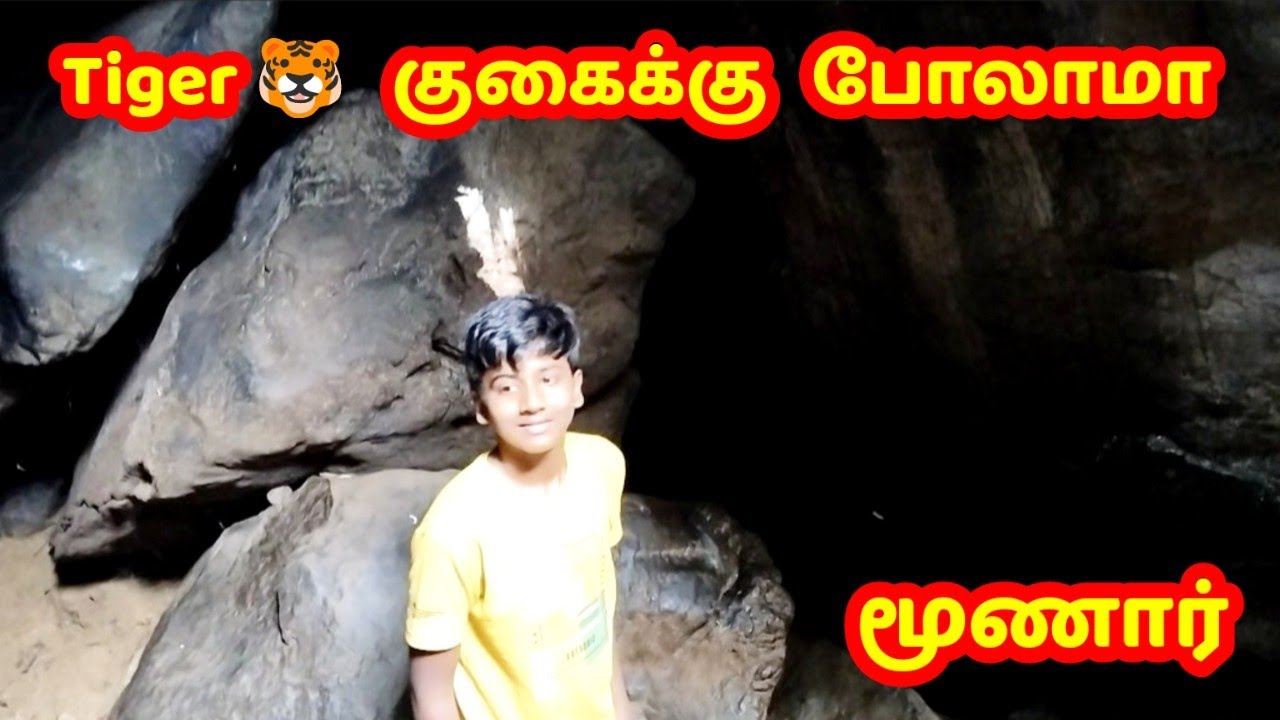 Tiger cave Munnar|Mankulam |Aanakulam|Tourist places in munnar|#munnar ...