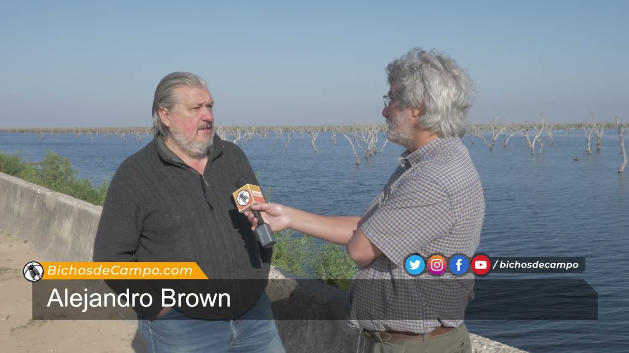 Alejandro Brown: "El Bañado La Estrella es uno de los humedales más ...