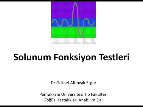 Solunum Fonksiyon Testi sonuçlarının yorumlanması dersi