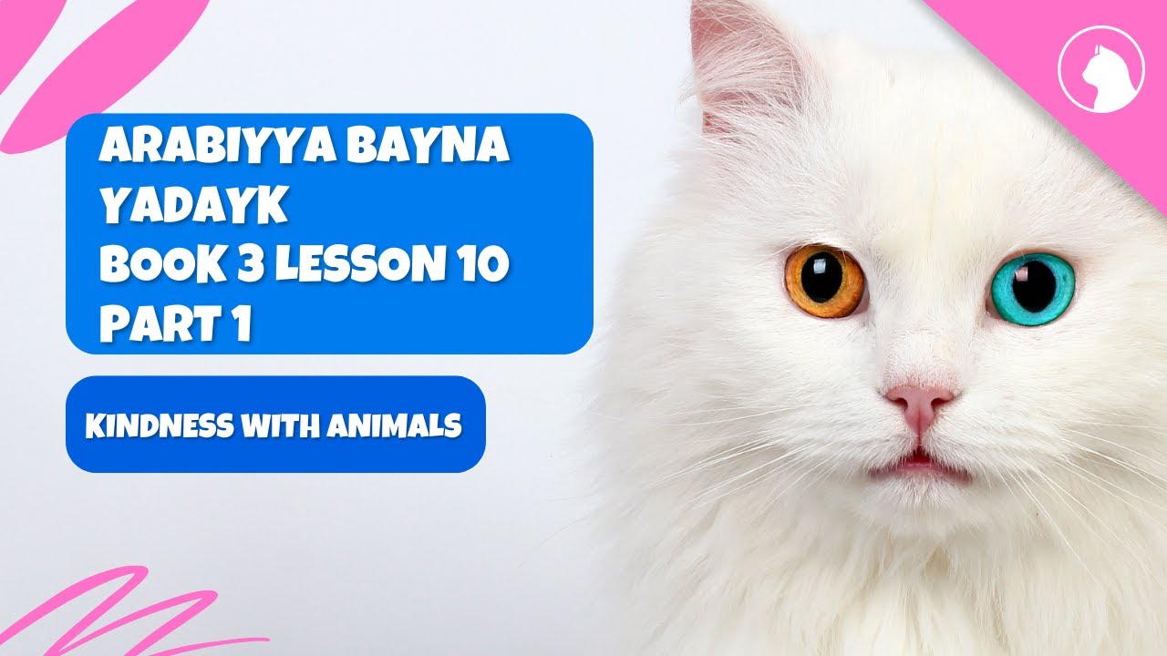 Arabiyya Bayna Yadayk | Book 3 | Unit 10 | Part 1 | Kindness to Animals ...