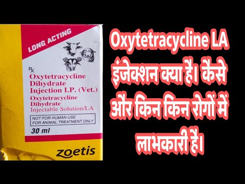 TERRAMYCINE LA INJECTION को लगाने का तरीका सीखें और कितनी DOSE में लगाए ?