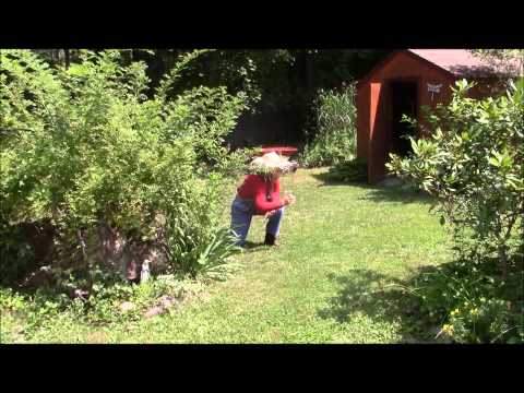 Bubette Teaches How to Catch A Fly with violetta Anna Licari