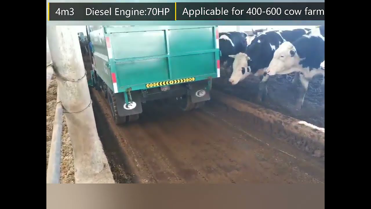Cow Cattle Dung Cleaning Machine Manure Collector - YouTube