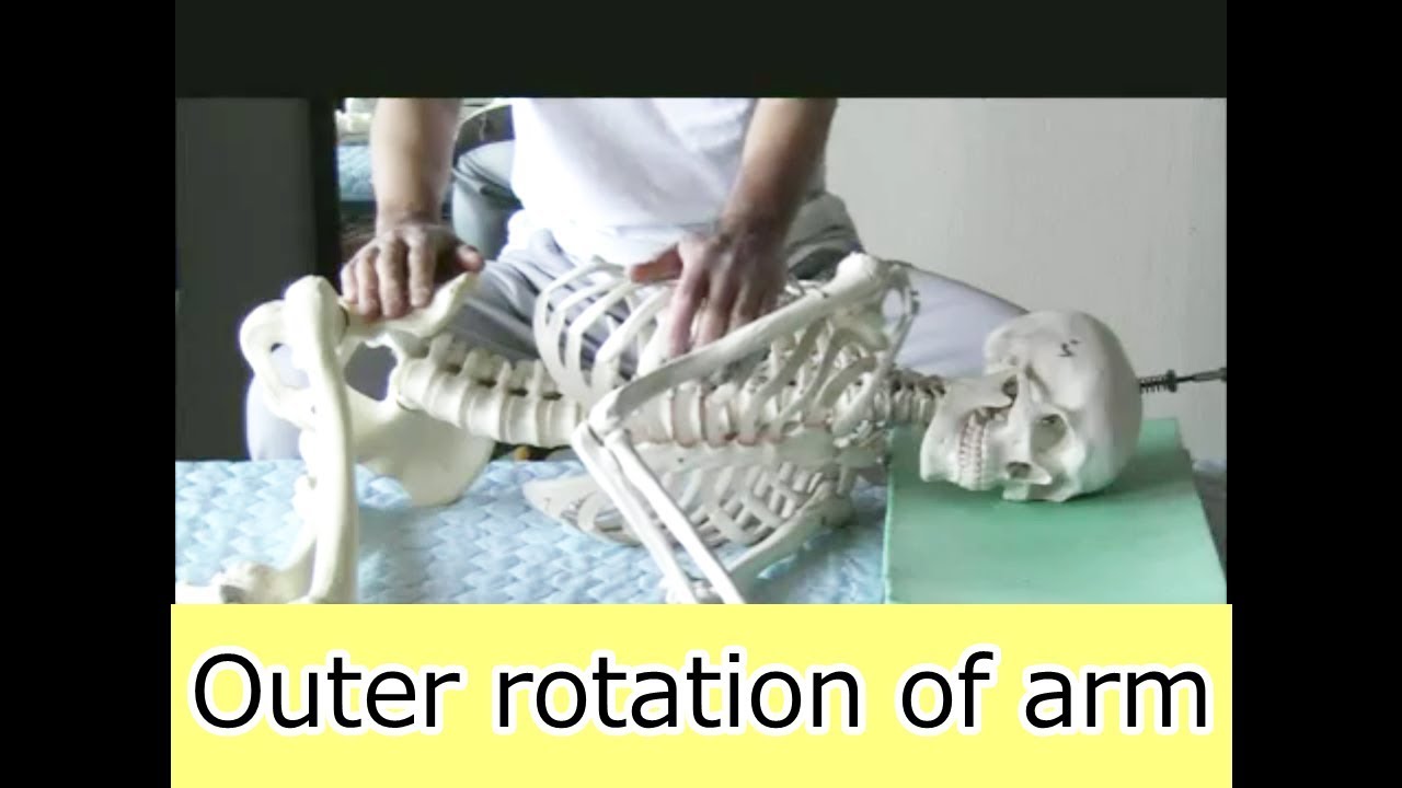 Teaching by Handling 5-4-3 Outer rotation of arm on the side (Silent ...
