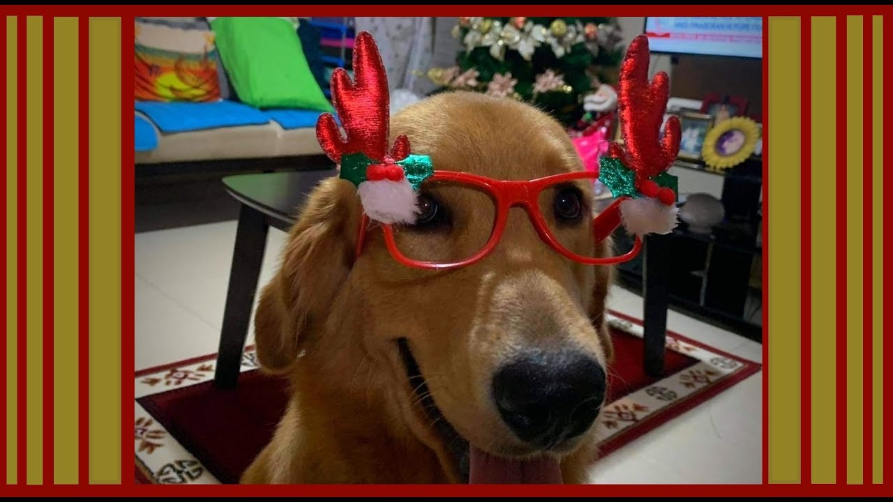 ALISON Christmas Costume - YouTube