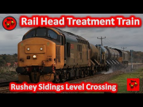 Direct Rail Services RHTT (Rushey Sidings Level Crossing) - YouTube