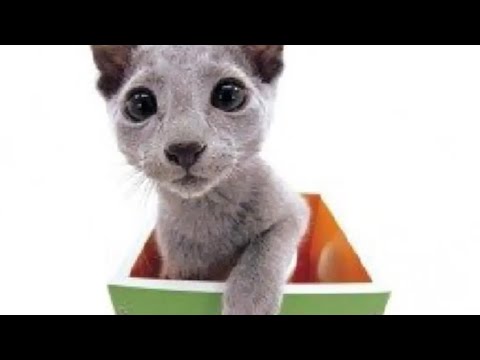 BoneLab // Level 3: Mine Dive - YouTube