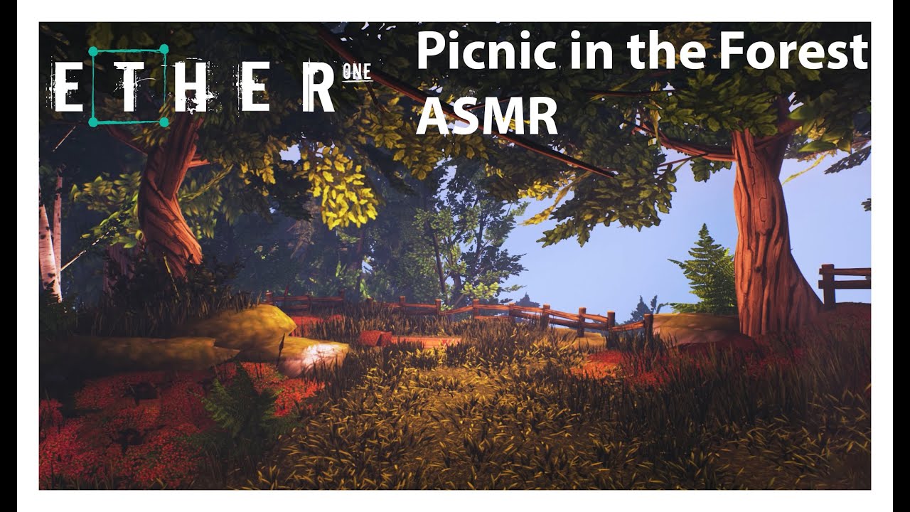 Ether One Ambience: Picnic in the Forest - YouTube