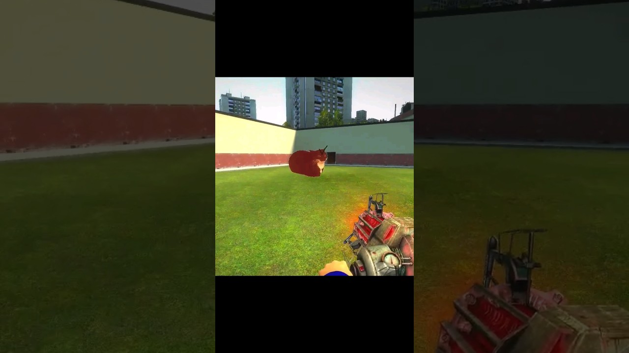 Angry Maxwell Cat Nextbot Gmod #shorts #gmod #maxwellcat - YouTube