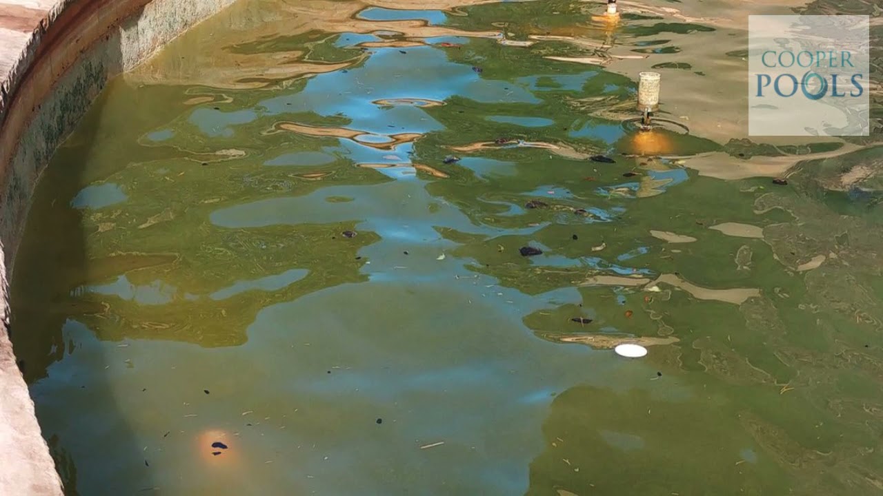 Cooper Pools Makes The Difference - YouTube