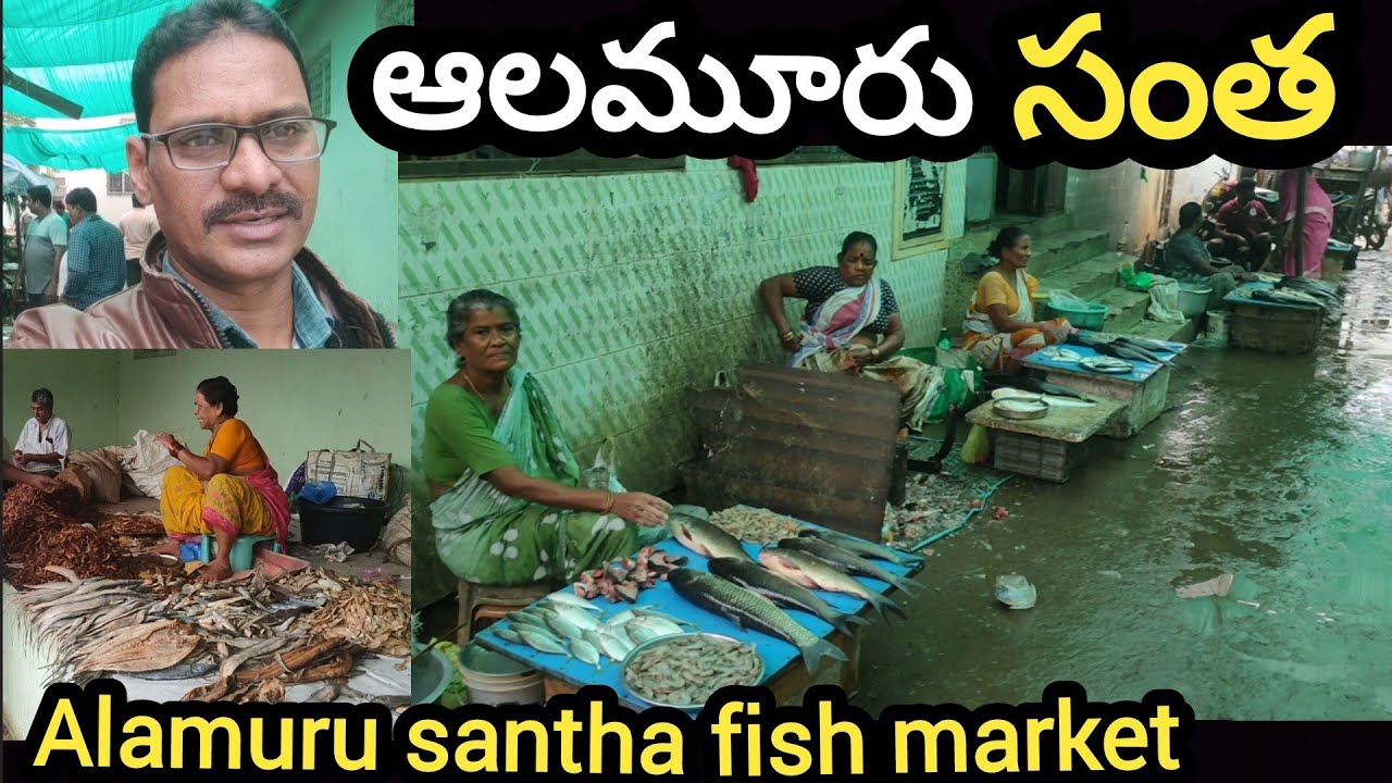 Alamuru santha fish market konaseema ఆలమూరు సంత చేపల మార్కెట్ కోనసీమ ...