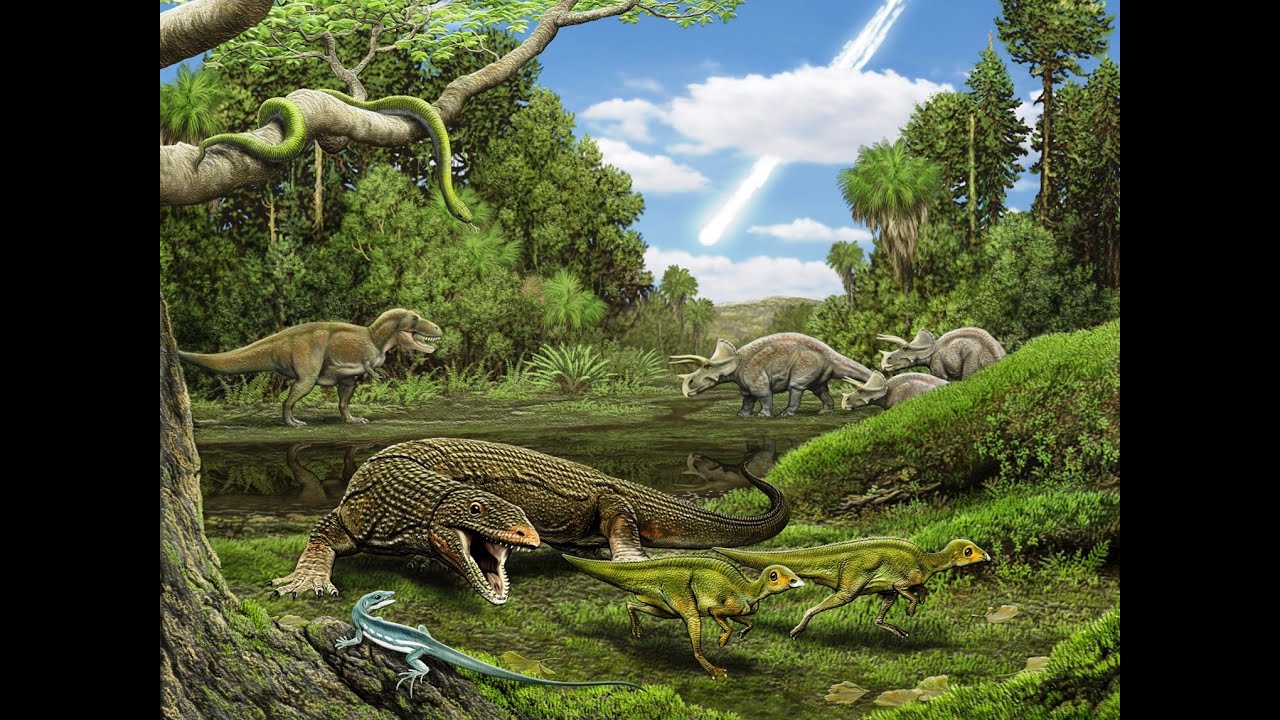 Palaeosaniwa: The lizard that ate dinosaurs - YouTube