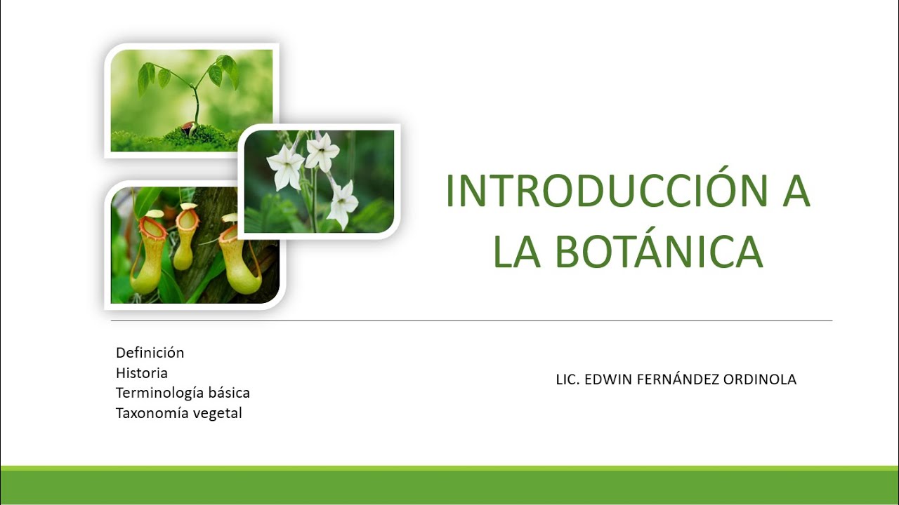 BOTÁNICA- Generalidades del curso - YouTube