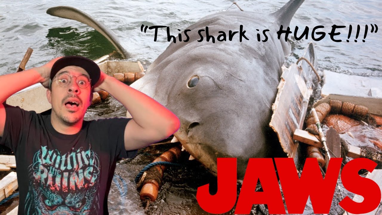 Jaws {1975} (Mancer's reaction) - YouTube