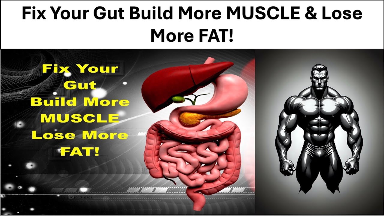 Fix Your Gut Build More Muscle & Lose More Fat - YouTube