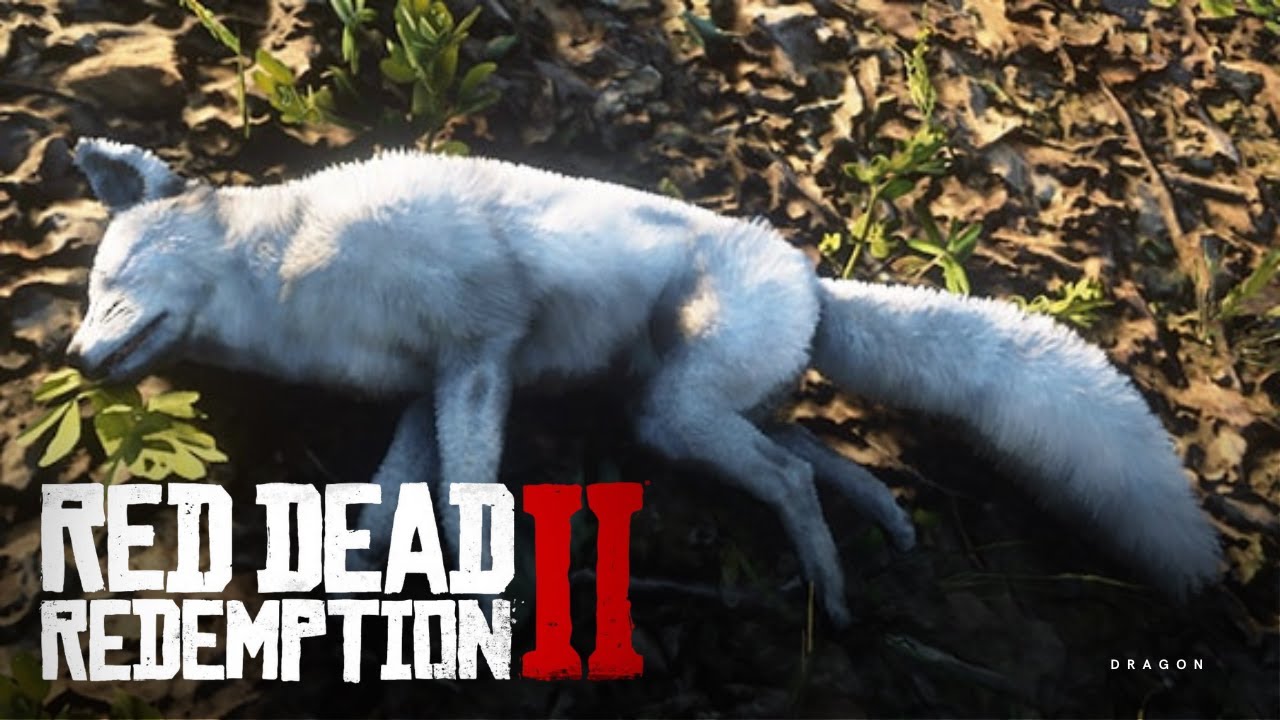 How to Find and Kill The Legendary Fox In Red Dead Redemption 2 - YouTube