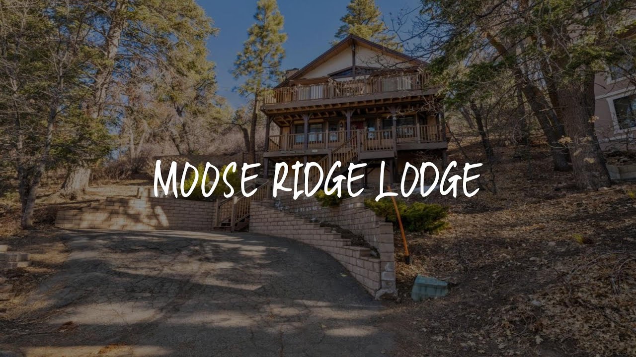 Moose Ridge Lodge Review - Big Bear Lake , United States of America ...
