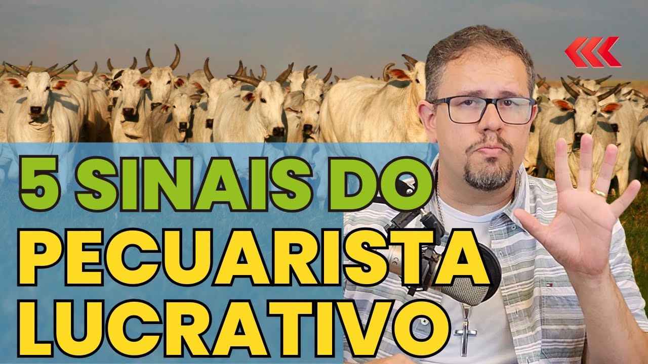 5 Características de um pecuarista REALMENTE LUCRATIVO? - YouTube