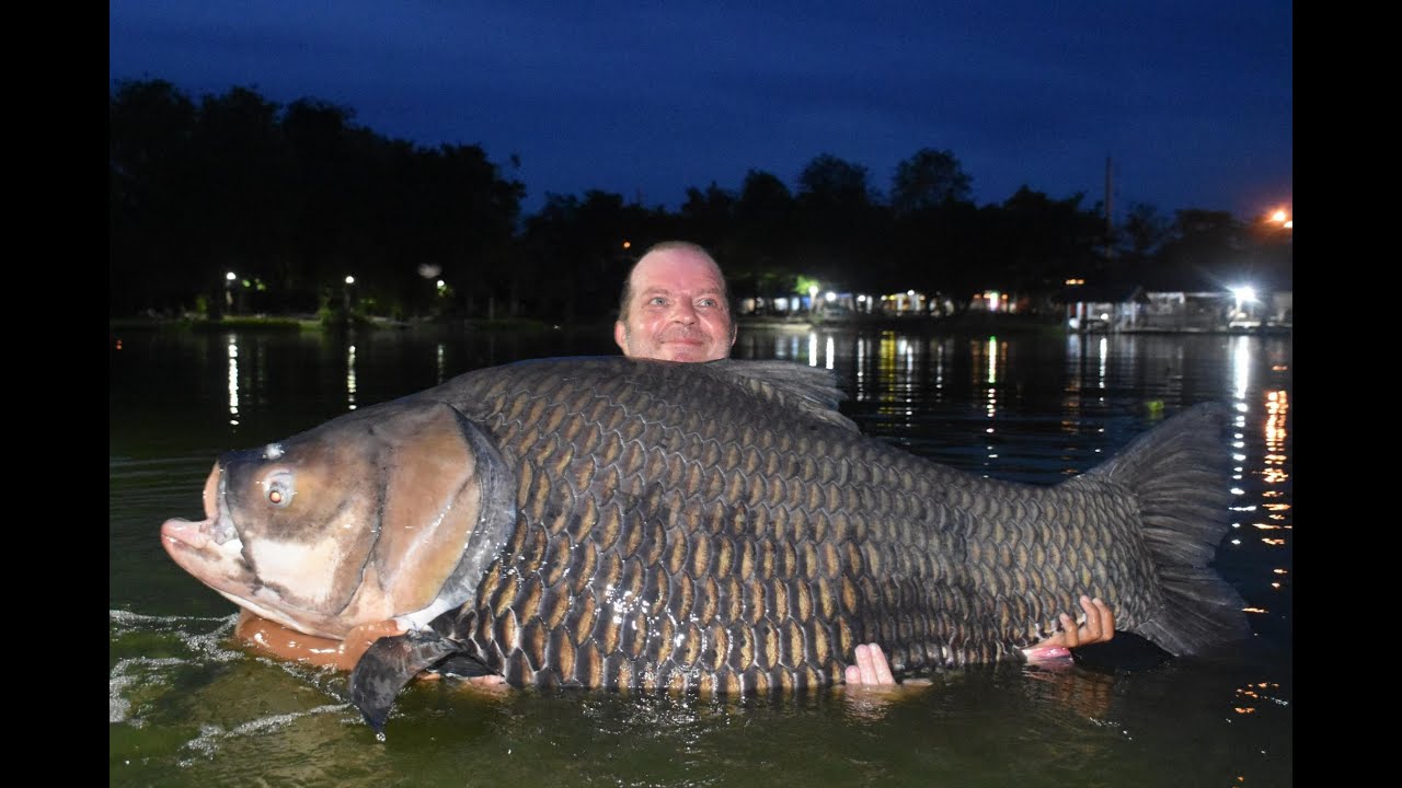The biggest carp in the world last weighed at 252lb - YouTube